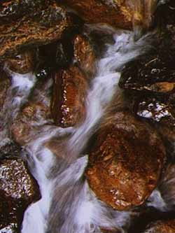 Protecting Instream Flows: How Much Water Does a River Need ...